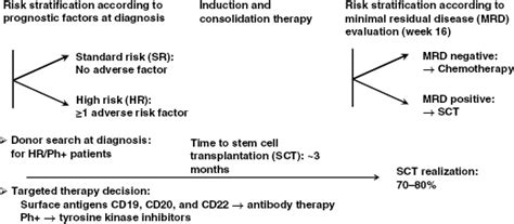2 Prognostic Markers And Models In Acute Lymphoblastic Leukemia