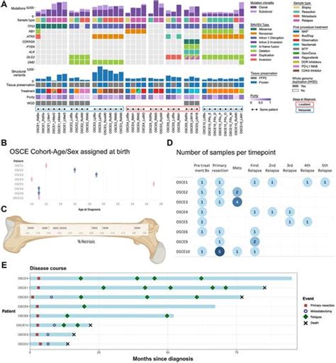 Subclonal Somatic Copy Number Alterations Emerge And Dominate In