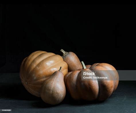 검은 배경에 호박 가을 스쿼시 야채 추수 감사절 장식 다양한 호박 전통적인 휴일 물건 0명에 대한 스톡 사진 및 기타 이미지 Istock