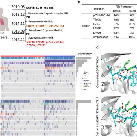 Epidermal Growth Factor Receptor Egfr Mutations In A Patient With