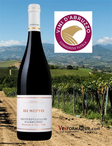 À La Découverte Des Vins De Montepulciano Dabruzzo Vinformateur