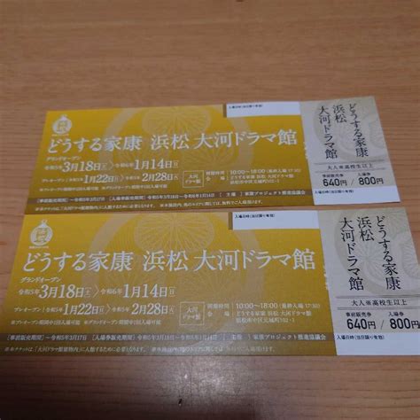 どうする家康 浜松 大河ドラマ館 浜松城 入場券 ペアチケット プレオープン グランドオープン 浜松城公園美術館、博物館｜売買された