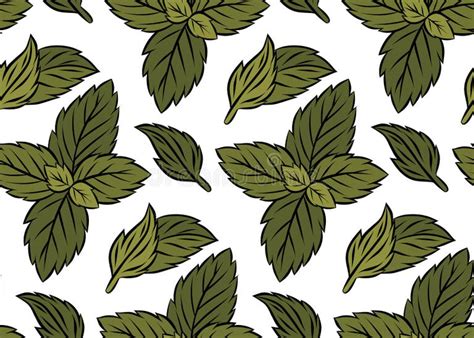 Vector Image Mint Leaves Stock Illustrations 15388 Vector Image Mint