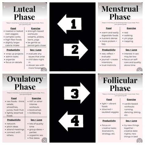 Cycle Phase Mapping Understanding And Navigating Your Menstrual Cycle