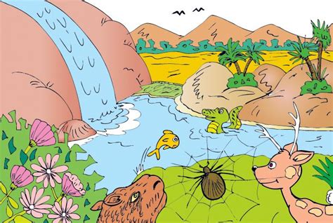 CARACTERÍSTICAS DEL PAISAJE NATURAL Y SUS ELEMENTOS Escolar ABC Color
