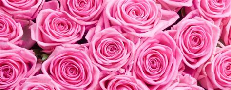As Cores Das Rosas E Os Seus Significados Blog Flores No Cais