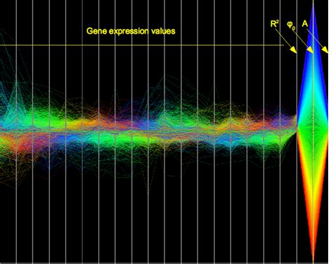 Spray Analysis On Yeast Cell Cycle Dataset Download Scientific Diagram