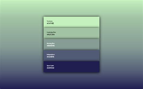 Application Color Palettes On Behance