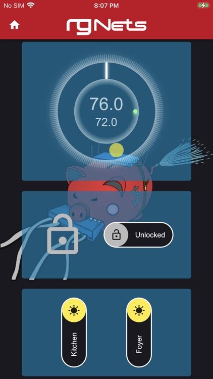 Rxg Iot Card By Aidan Lok