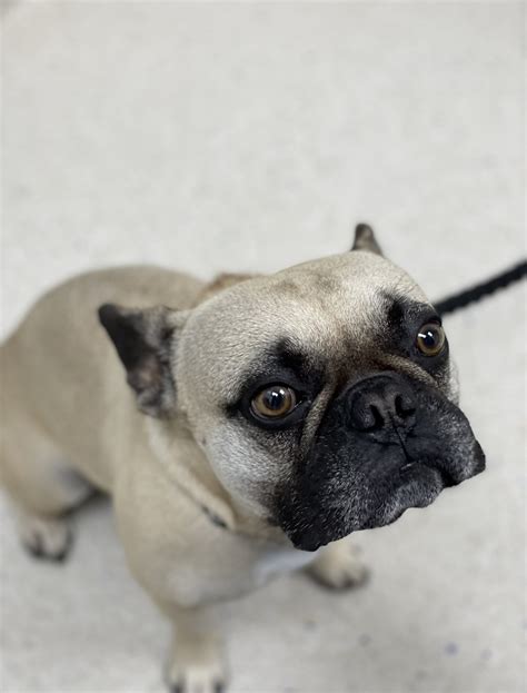 Barney And The Fish Hook Veterinary Hospital Group