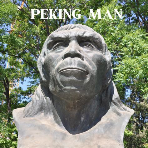 Peking Man Teilhard Project
