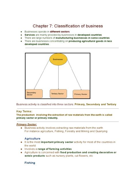 Classifying Business Activity An Overview Of How Businesses Operate