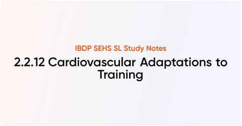 Cardiovascular Adaptations To Training 2 2 12 Ib Dp Sports