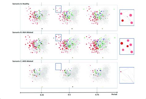 Neural Dynamics During Forward Scenario For Different Structures Of Download Scientific