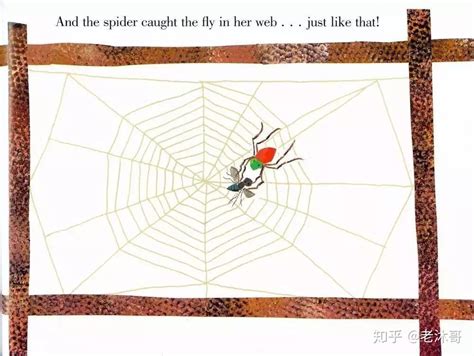 卡尔爷爷绘本the Very Busy Spider（好忙的蜘蛛）精读 知乎