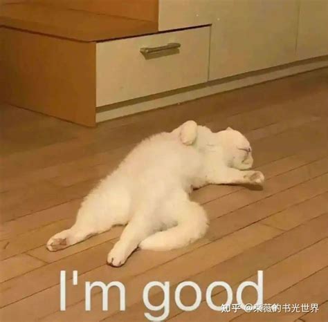 接吻到腿软的冷知识（男女慎入！） 知乎
