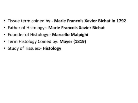 Tissues Chapter 6 Class 9 Pptx Gardening Home And Garden