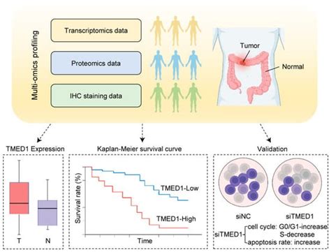 Biology Free Full Text Integrative Multi Omics Analysis Identifies Transmembrane P24