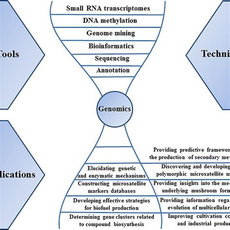 Commonly Used Techniques In Genomics And A Summary Of The Genomics