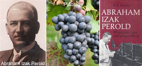 Perold Abraham Izak Weinplus Lexicon