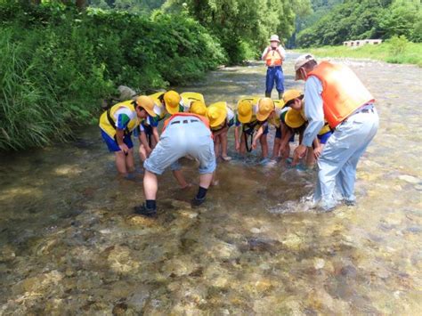 水生生物調査 水質の簡易調査 南砺市立利賀学舎