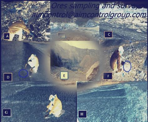 Cargo Sampling