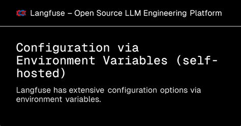 Configuration Via Environment Variables Self Hosted Langfuse