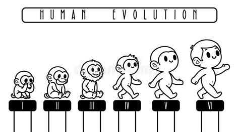 Human Evolution Stages Illustration Cute Hand Drawn Diagram For