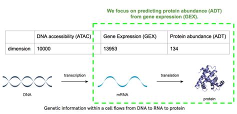 Achieving 100x Faster Single Cell Modality Prediction With Nvidia