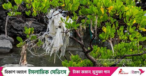 ১৬ অক্টোবর ২০২২
