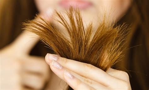 Tratamiento Casero Para Cabello Seco Y Quebradizo Dry Hair Treatment