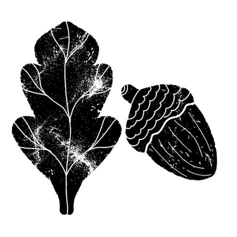 Premium Vector Acorn And Oak Leaf Black Vector Grunge Illustration In