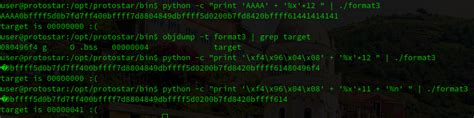 protostar format strings level 3 happy hacking