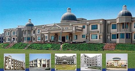 पावर लिफ्टिंग चैंपियनशिप में गोल्ड जीतने वाली संस्कृति विवि की छात्रा