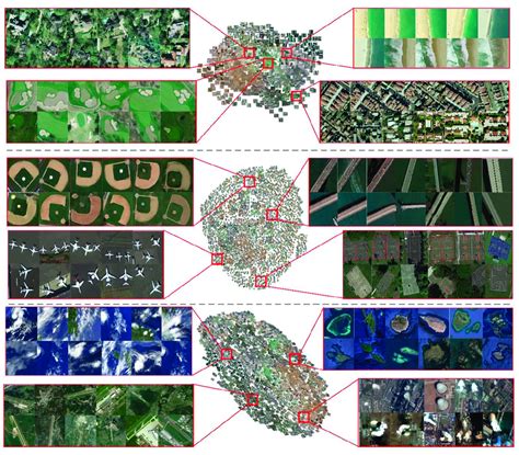 Visualization Of The Proposed Method With Dcl On The Ucmd Dataset Up Download Scientific