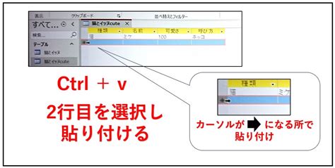 【access】「データが破損」「クリップボードでエラー」表示！excel複数行が貼り付けできないを解決 Imasucaの独学メモ