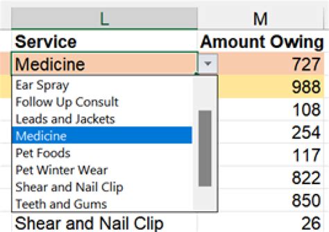 Conditional Formatting Functions Learn