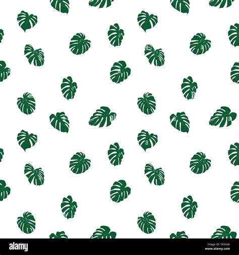 Seamless Pattern With Tropical Monstera Leaves Vector Illustration