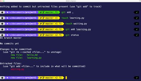 每个开发者必须知道的 12 个 Git 命令