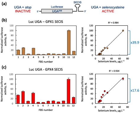 Ijms Free Full Text Selenium Discrepancies In Fetal Bovine Serum Impact On Cellular