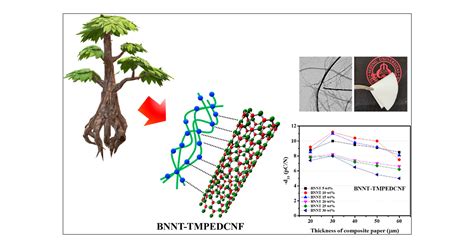 Flexible Piezoelectric Papers Fabricated Using Amine Modified Cellulose Nanofibers And Boron