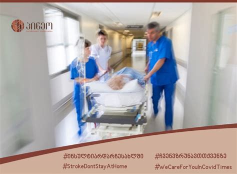 🔹 პინეო სამედიცინო ეკოსისტემა • Pineo Medical Ecosystem