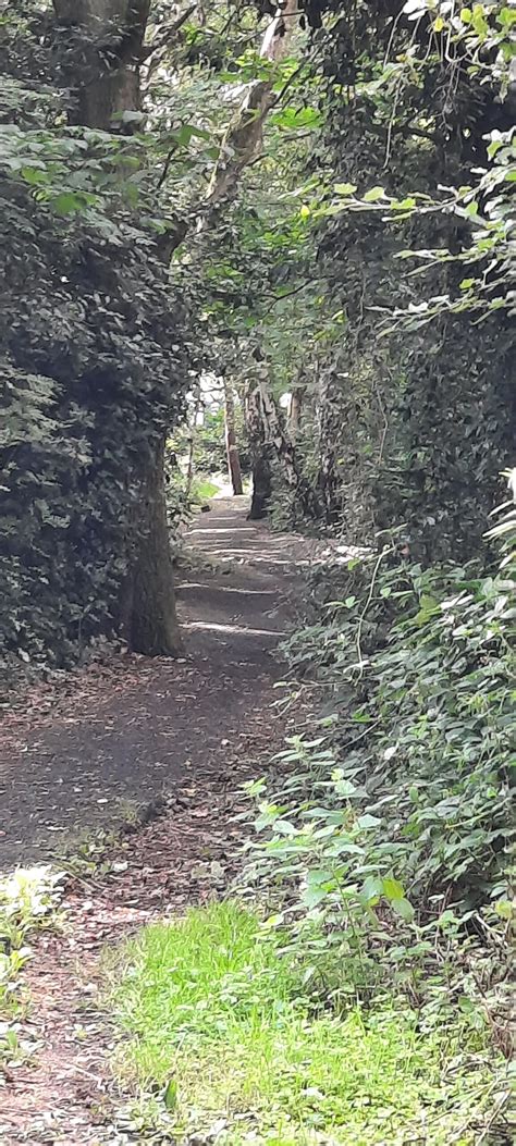 Membership Friends Of Basingbourne Park