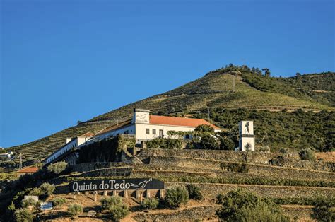 Quinta Do Tedo Yon Wine