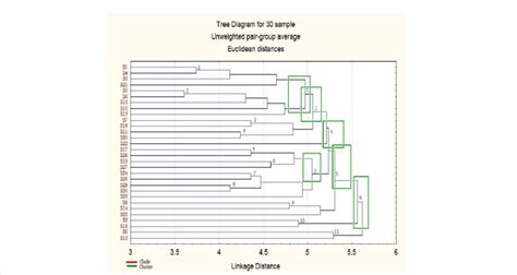 Relationships Among The 30 Individuals Of M Cuchia Download
