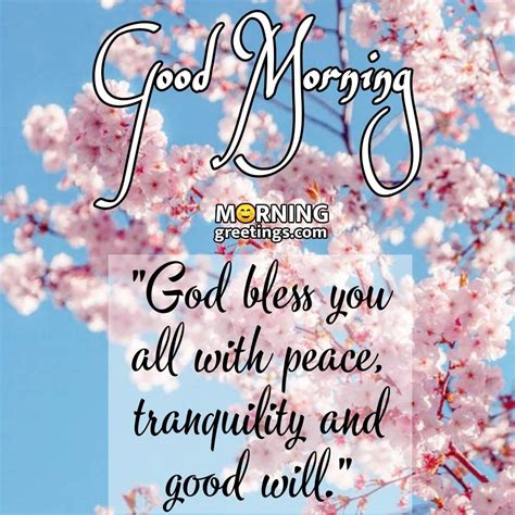 50 Blessed Morning Quotes And Wishes Morning Greetings Morning