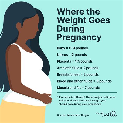 Pregnancy Weight Gain Breakdown Where The Weight Goes Twill Care