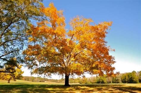 Relationships And Information Overload Ez Elder Law