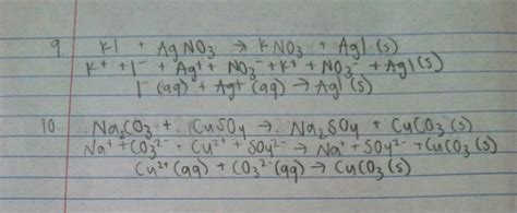 Net Ionic Equations Lab AP Chemistry