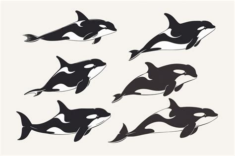 Flat Design Simple Vector Orca Illustrations Premium Ai Generated Vector